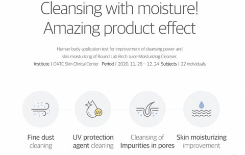 Round Lab - Birch Juice Moisturizing Cleanser 150ml – KKUL