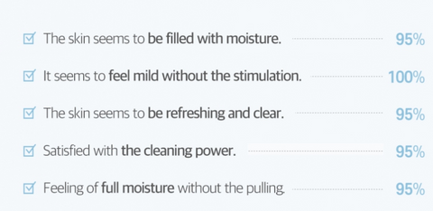 Round Lab - Birch Juice Moisturizing Cleanser 150ml – KKUL